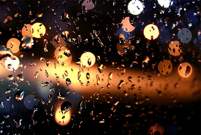 Make a resolution for greater digital transparency this year – The ...