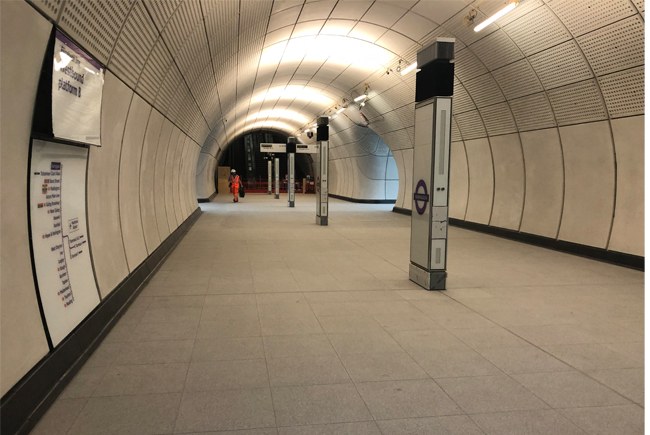 TfL teases new ad space design for the Elizabeth Line – The Media Leader