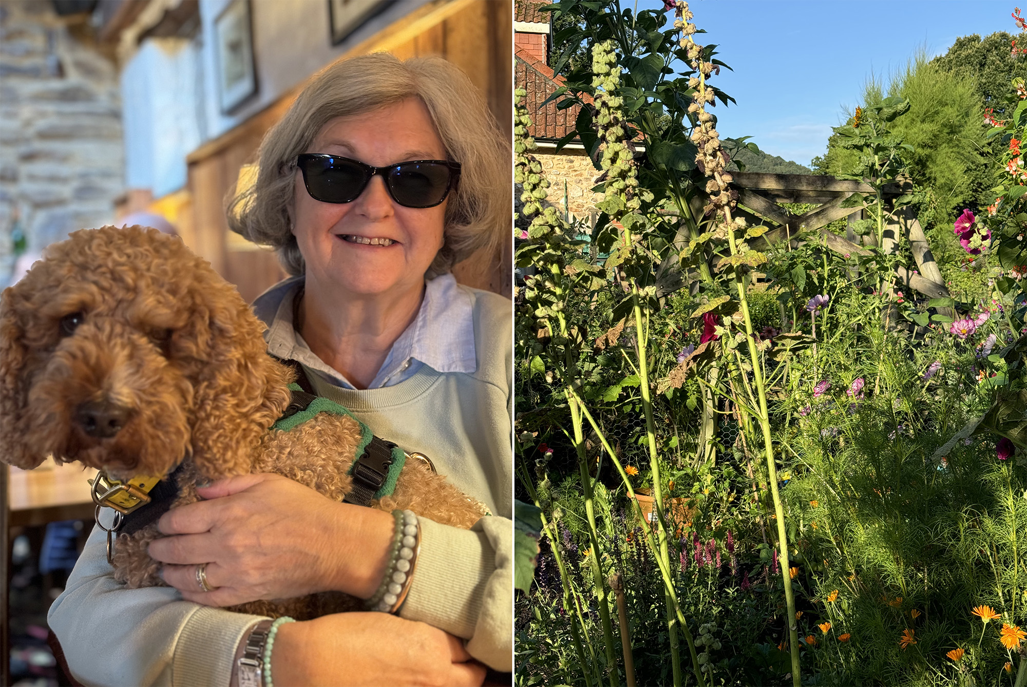 Debbie Morrison: The doyenne of due diligence who broke advertising’s ...